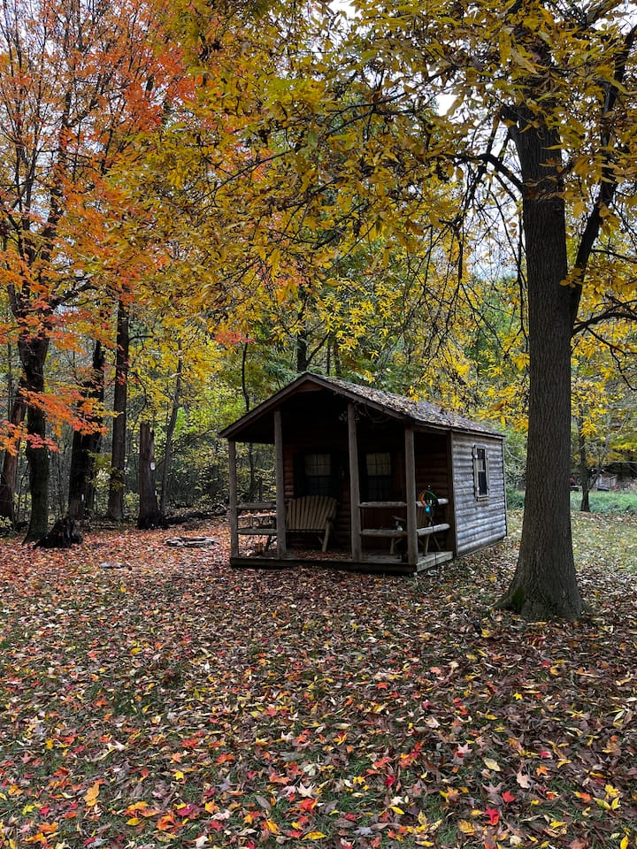 Back Cabin - Brooklyn, MI