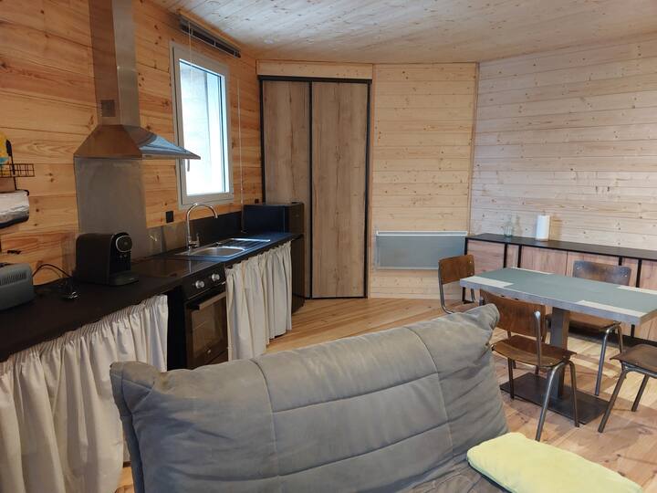 Appartement Style Chalet - Tarbes