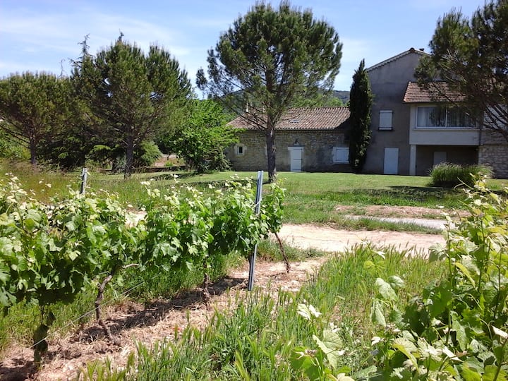 Maison Avec Vue Sur La Nature "Le Mûrier" - Grospierres