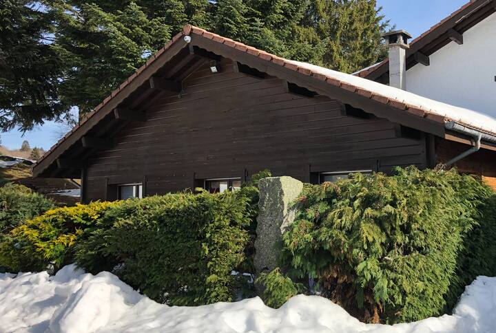 Chalet Le 65a La Bresse Vosges - La Bresse