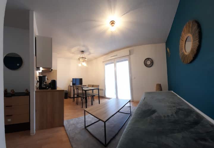 Appartement De La Marmotte Cendrée * * - Lourdes