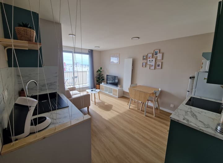 Dernier éTage Cosy & Lumineux - Dijon