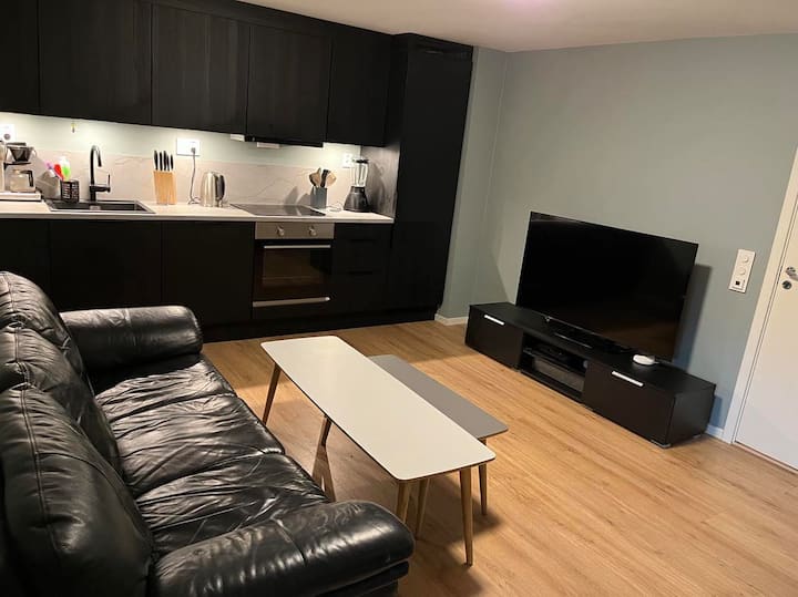 Koselig Og Stilfull Kjellerleilighet - Viken