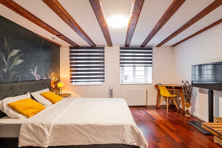 Cocon Coup De Coeur Strasbourg Petite France - Estrasburgo