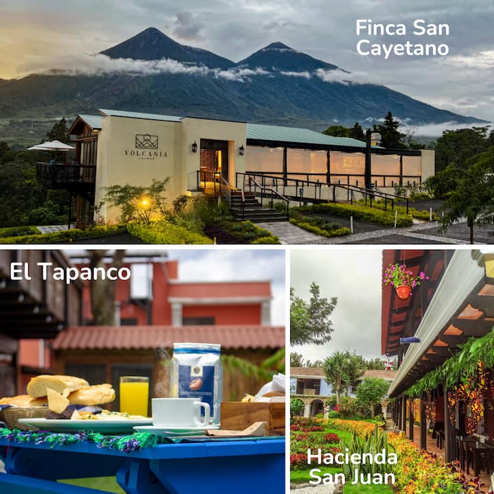 Premium House Antigua Guatemala - Sacatepéquez