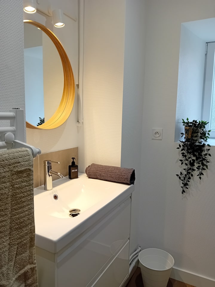 101 - Appart 100% Rénové Avec Chambre Spacieuse - Grenoble