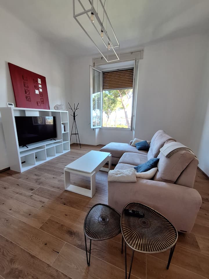 Ca'mea 2 Citra 008031-lt1474 - Imperia