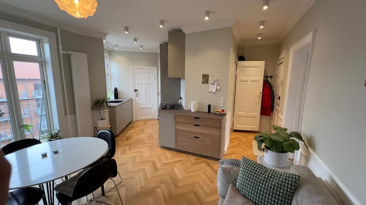 Moderne Og Elegant Lejlighed - Copenhague