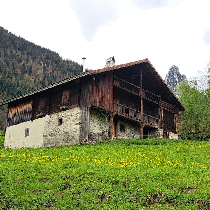 Très Beau Chalet Familial - Manigod