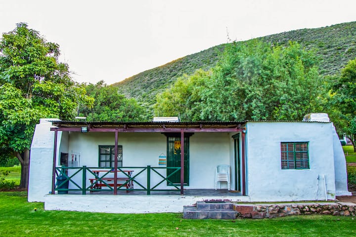 Kranskloof : Aloe - Oudtshoorn