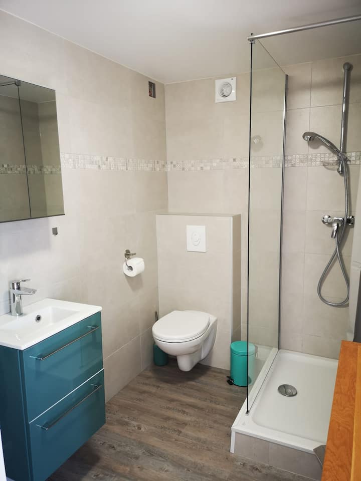 Studio En Rez De Jardin De 35m - Saint-Genis-Pouilly