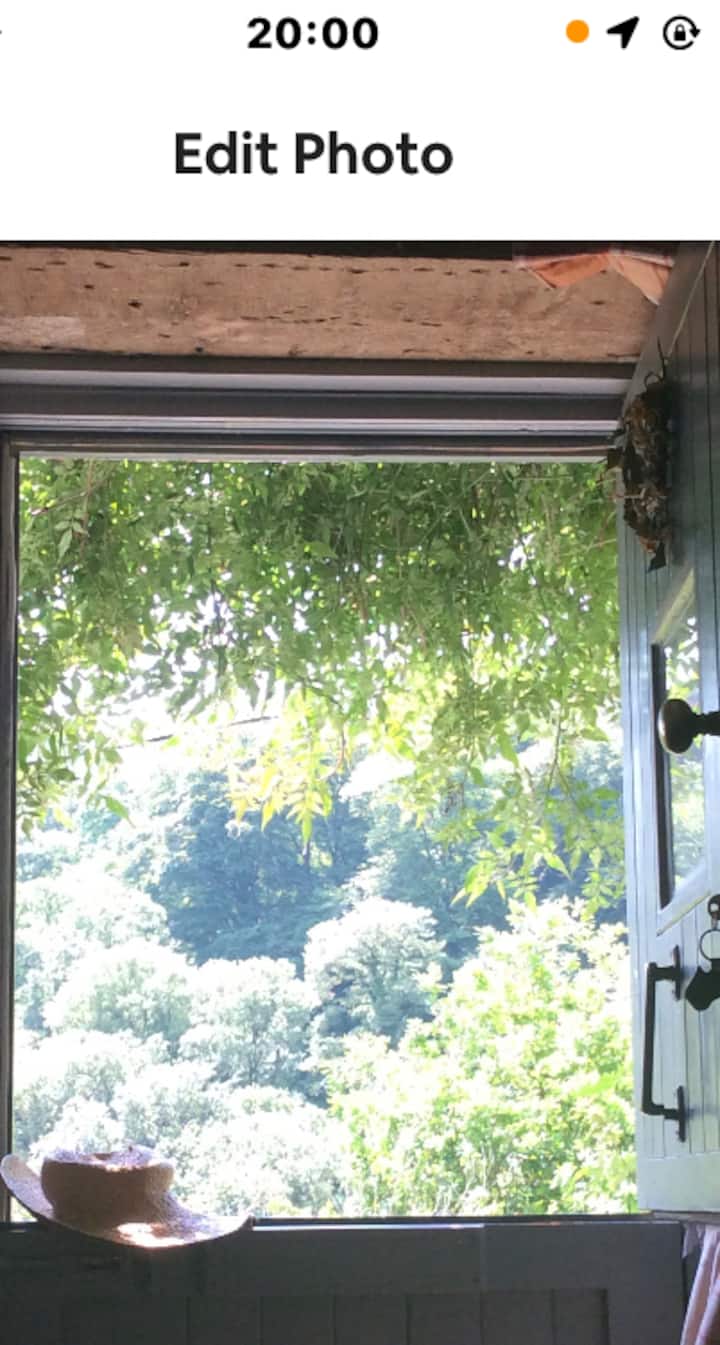 Tamar Valley.
Overlooking The Woodland Valley - Tavistock