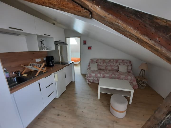 Appartement Chez L'habitant à Deux Pas De La Loire - Angers