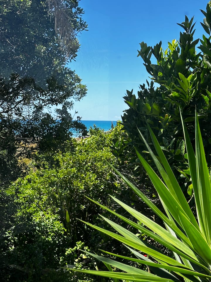 Oceanbeach Palms - Mount Maunganui