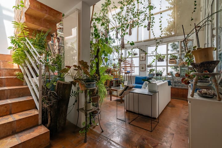 Artist's Atelier | Orchid Oasis 3br House - 멕시코시티