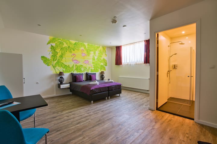 De Kamers Zijn Met Ontbijt En Hebben Eigen Douche - Aachen