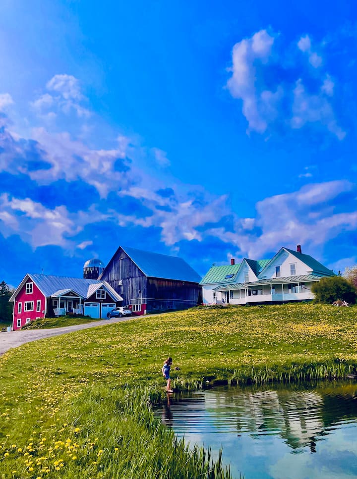 Blueberry Cottage - Greensboro, VT