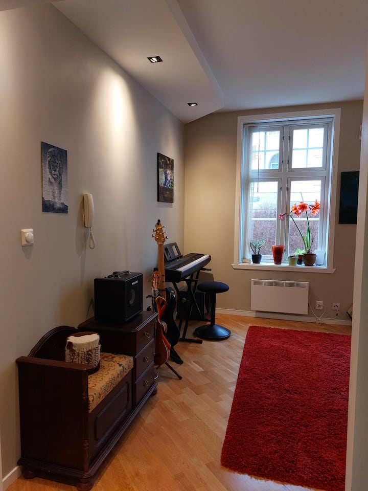 Herlig Leilighet M/2 Balkonger - Bergen, Noruega