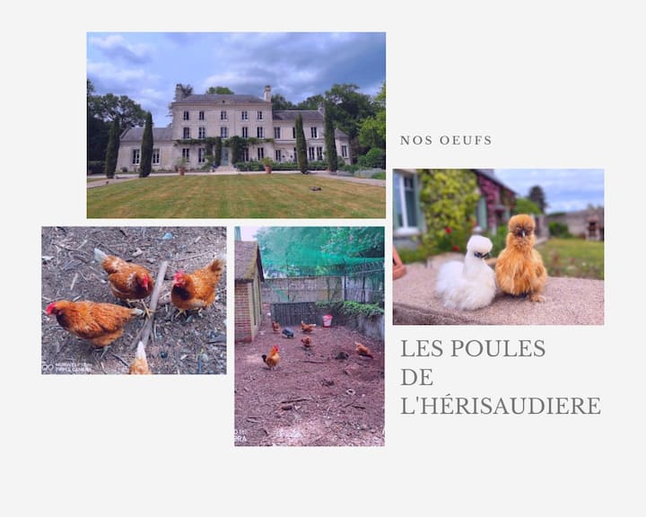 Grand Gite De L'herissaudiere - Luynes