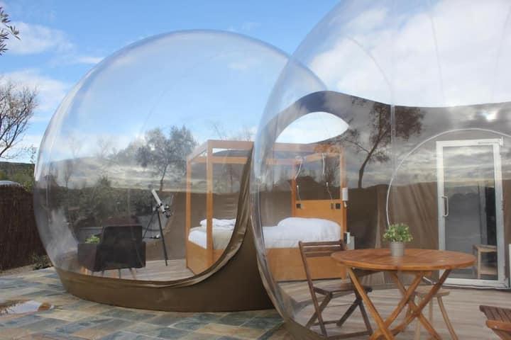 Zielo De Levante - Burbuja Premium Eros - Catí