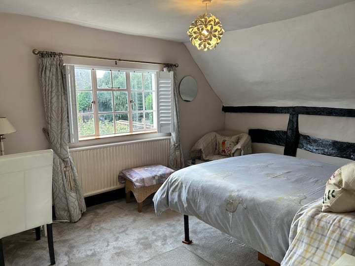 Kingfisher - Tewkesbury