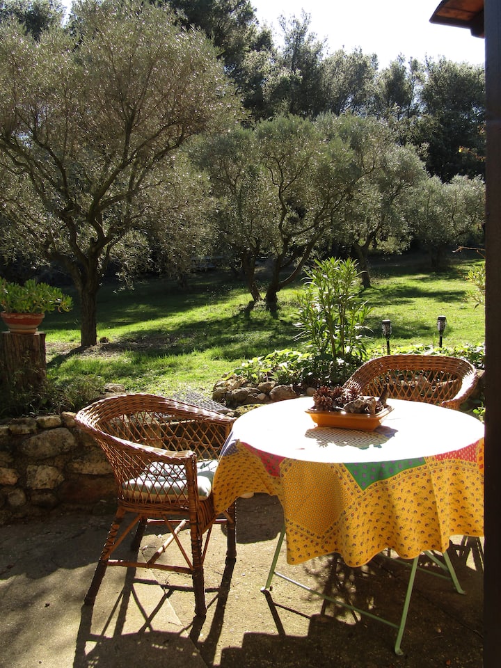 Maison Au Coeur Des Alpilles - Saint-Rémy-de-Provence