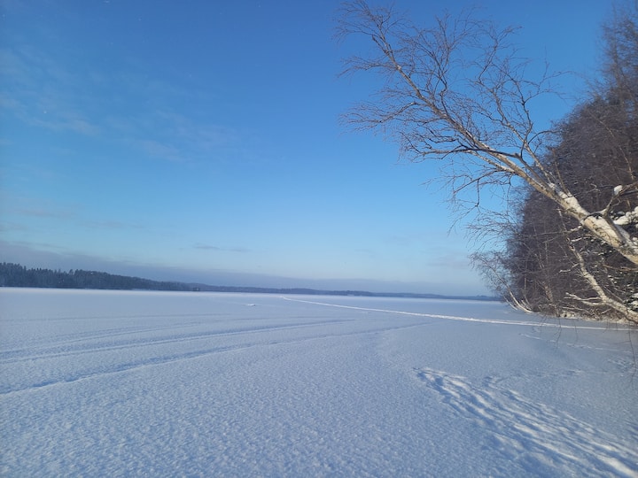 Viihtyisä Yksiö Luonnon Helmassa - Joutsa