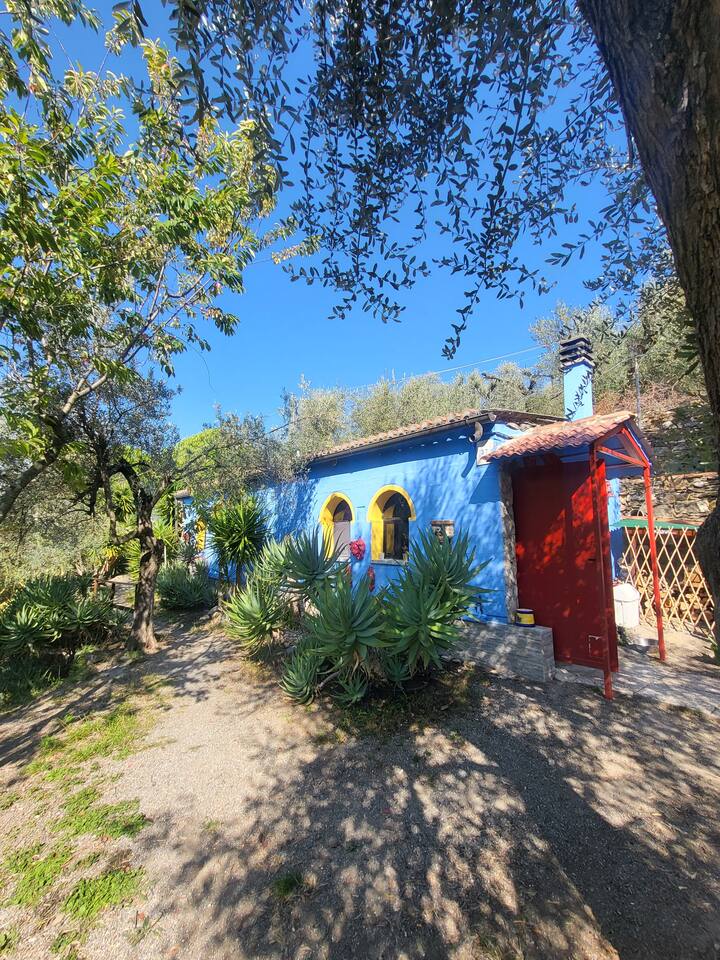 Intero Glamping Tra Il Bosco E Il Mare Di Alassio - Alassio