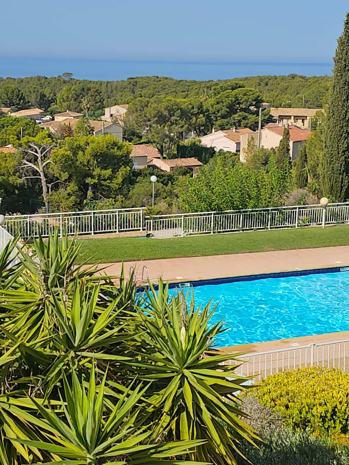 Une Vue Exceptionnelle Et Grande Piscine - Bandol