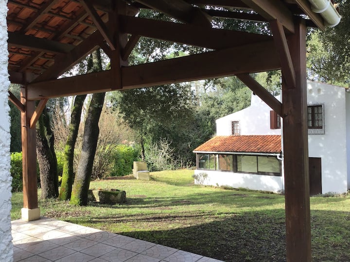 Meschers-sur-gironde Jolie Maison à 700m De La Mer - Meschers-sur-Gironde