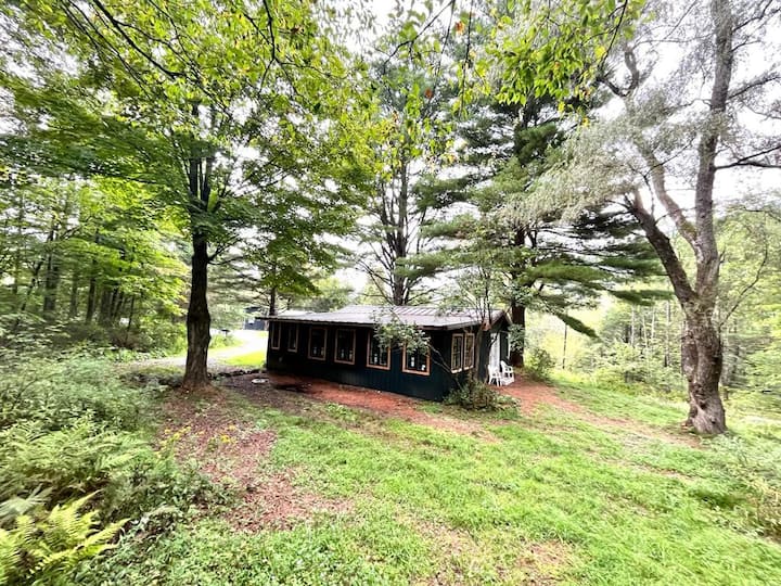 Mountain Views, Catskills Cottage - Phoenicia, NY