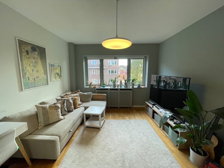 Cosy Apartment In The Center - Oslo