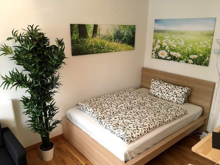 Apartment Flowerside - Regensburg