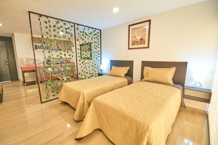 Azuela Loft 2 La Salle - León