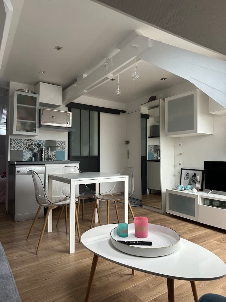 Appartement 100m De La Plage - ル・テュケ=パリ=プラージュ