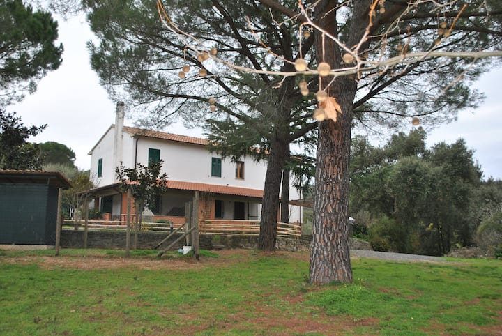 Casa Hortensiae - Castiglione della Pescaia