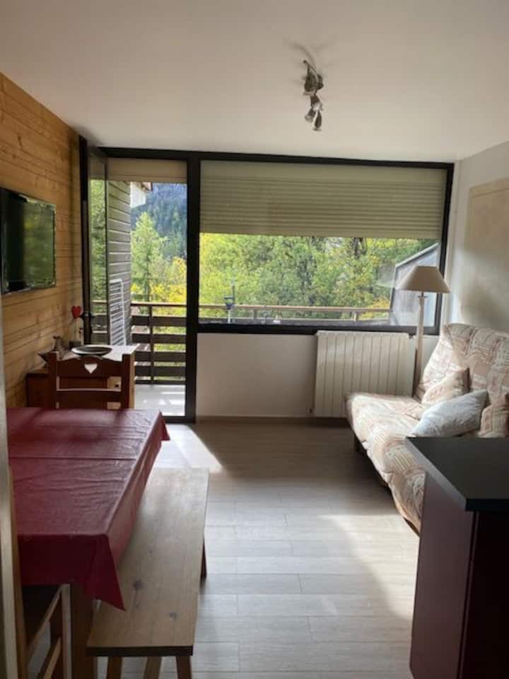 Studio 24m² Praloup 1600 - Pra-Loup