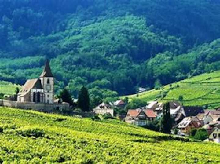 Séjour Tranquille à La Montagne - Bassemberg