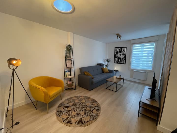 *Le Vinyle Triplex Cosy Rénové Avec Parking Privé* - Belfort