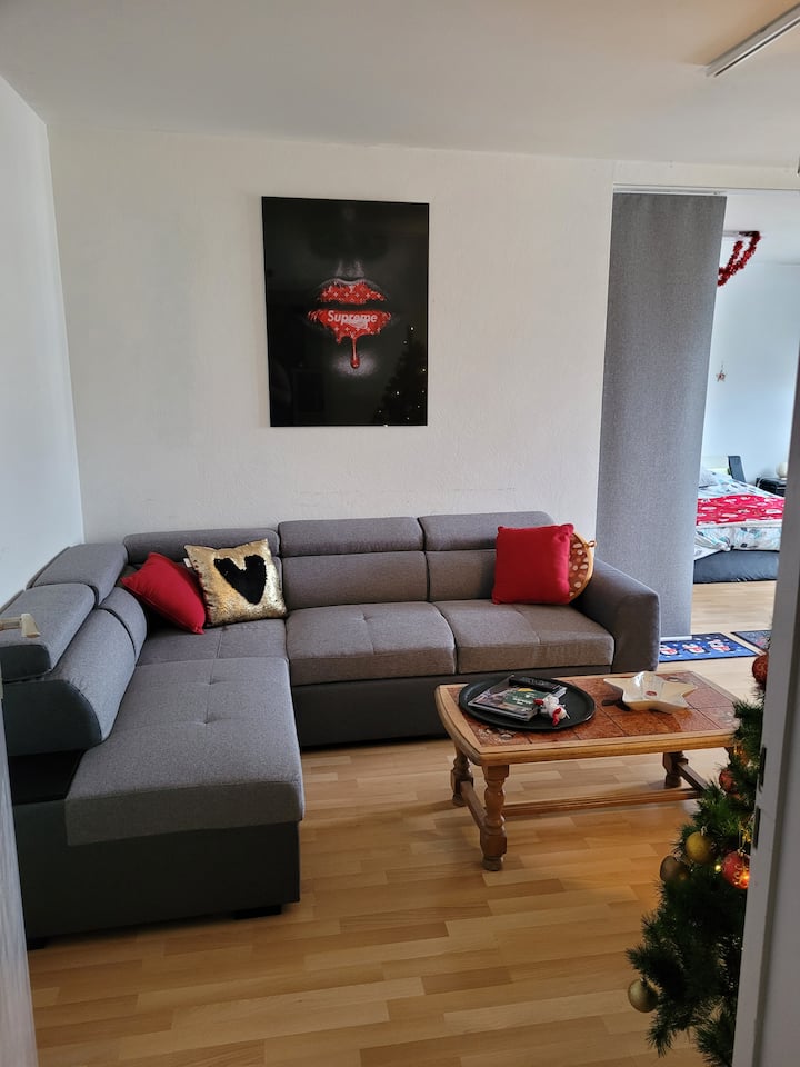 Appt 50m² Avec Vue O.o (Garage & Balcon) - Estrasburgo