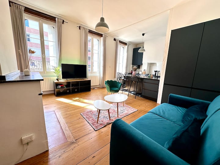 Grand Appartement Standing Coeur Centre Historique - Toulouse