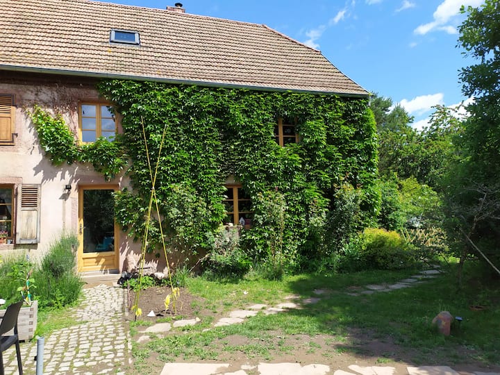 Maison De Charme Et Son Bain Nordique - Champ du Feu
