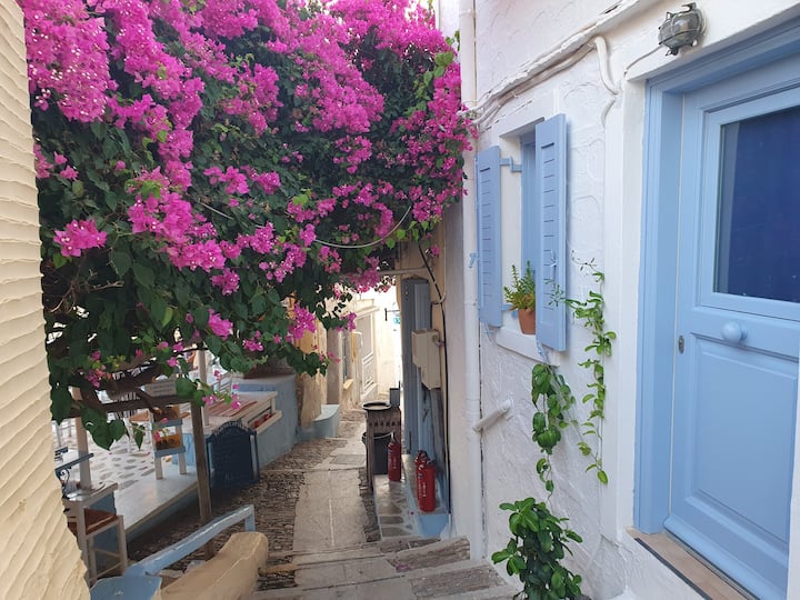Bougainvillea House - Эрмуполис