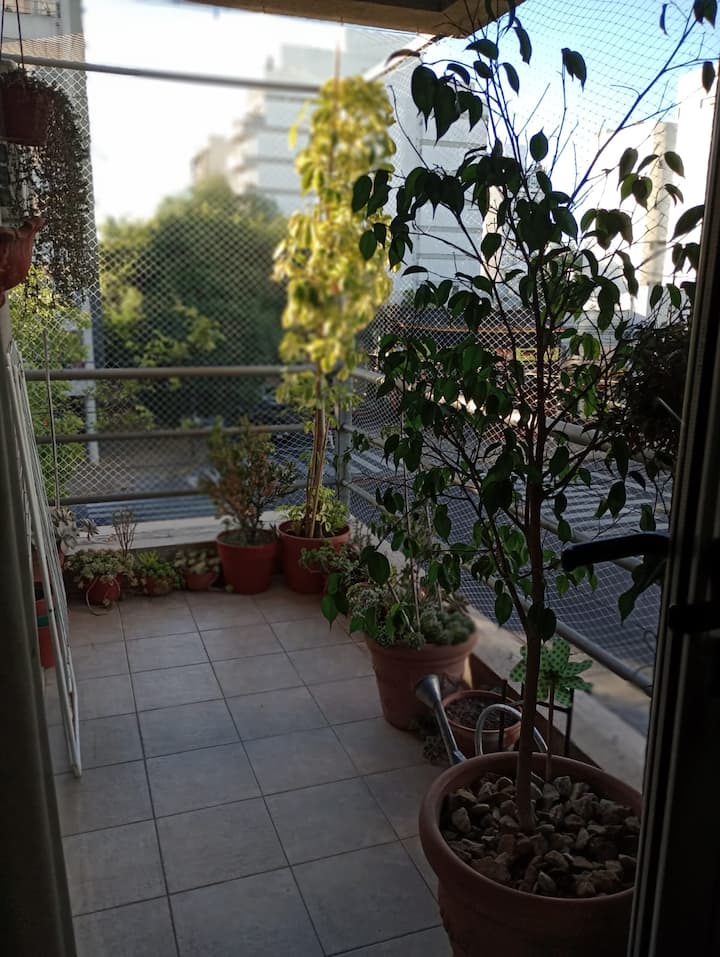Amplio Y Luminoso Cerca Del Centro Joven De Dg 74 - La Plata