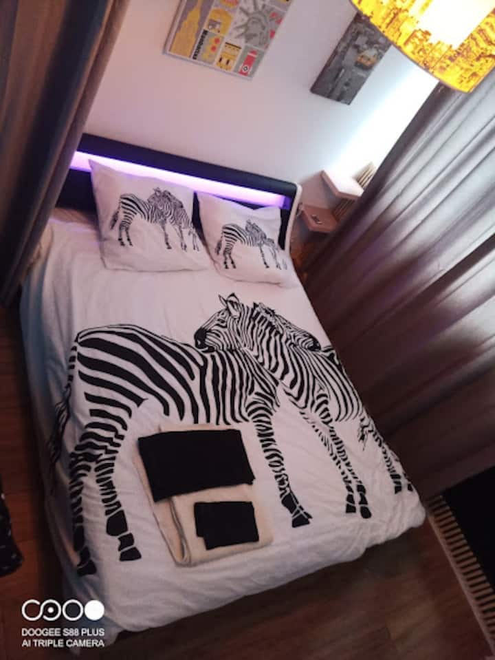 Le Gite "Manhattan Studio" Besançon Proche Centre - Besançon