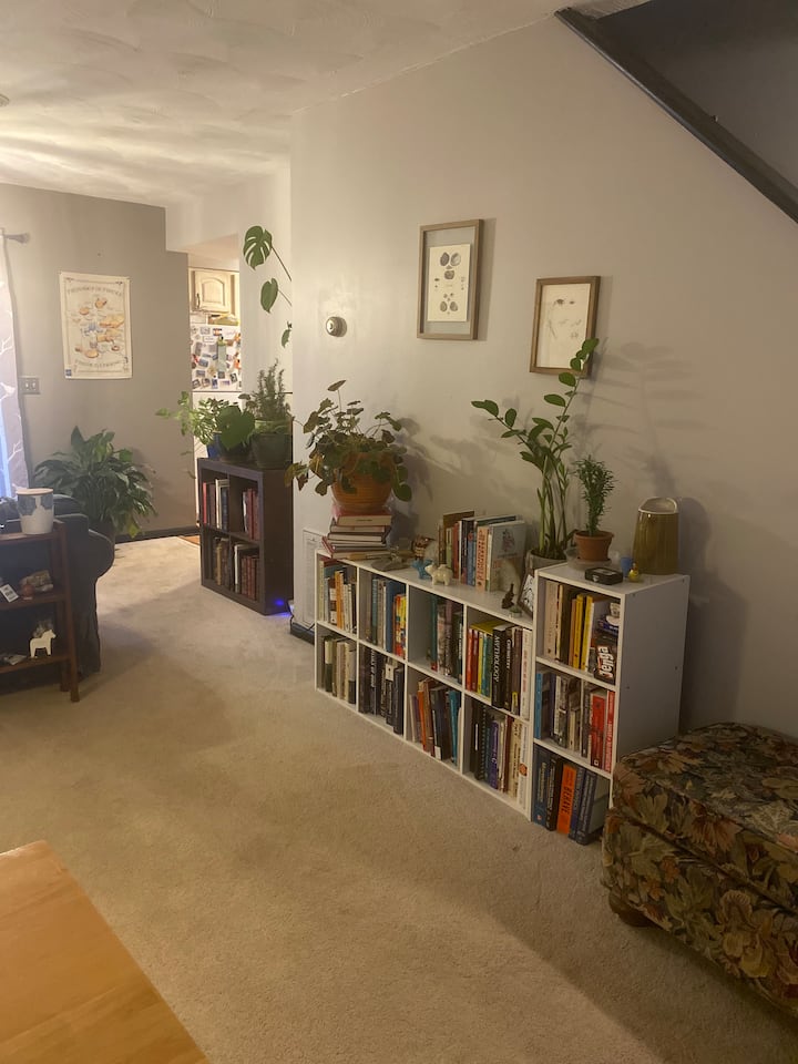Cozy, Quiet Townhouse - Utica, NY