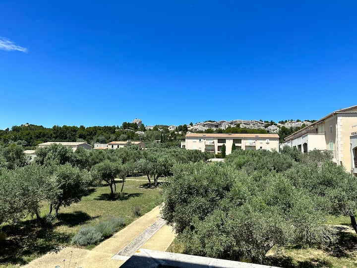Lou Olivie, Appartement
Face Aux Alpilles - Les Baux-de-Provence