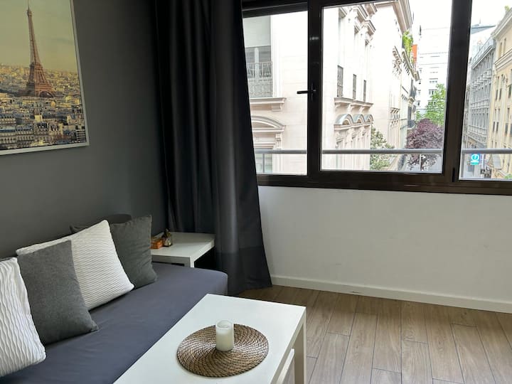 Amplio Apartamento Luminoso Zona Centro Recoletos - Madrid