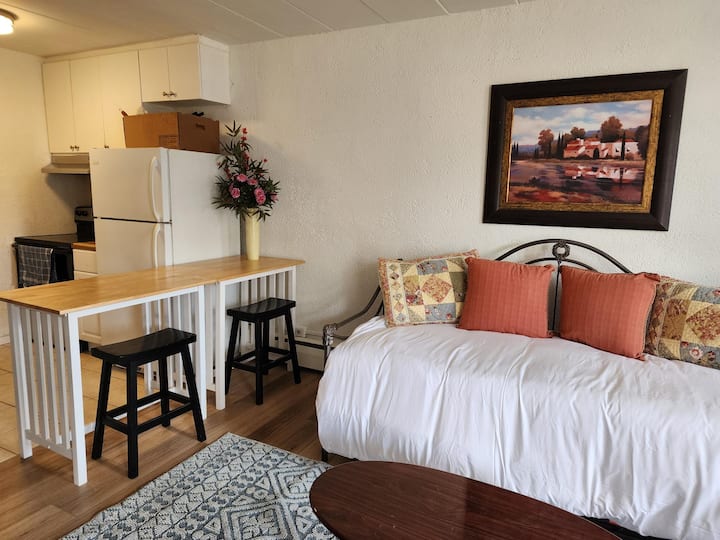 Renovated Studio Apartment - Great Neck, NY