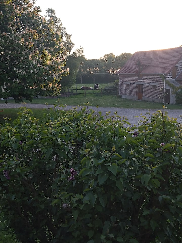 Gite Ferme Du Marronnier - Dieppe